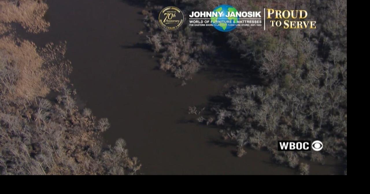 Proud to Serve: Edward McCabe Nature Preserve | Latest News | wboc.com