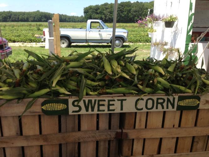 Magee Farms Celebrate 150 Years of Farming in Sussex County, Del ...