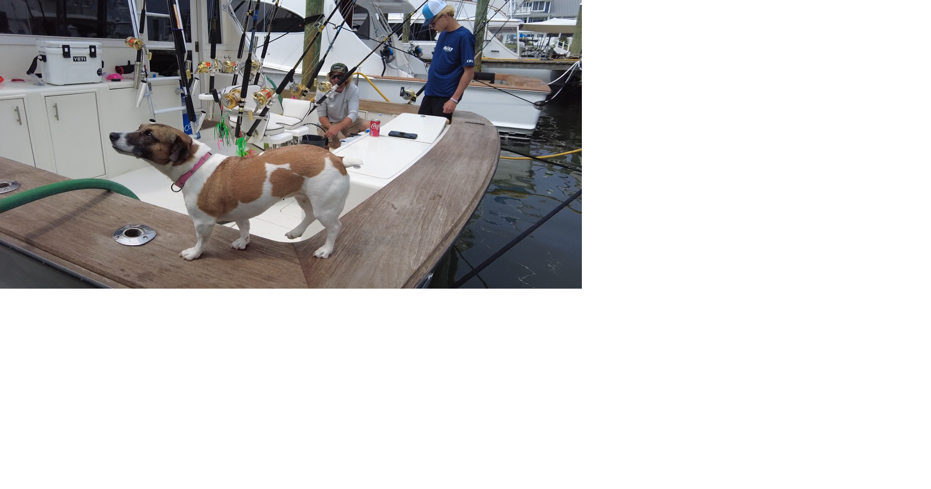Cloudy skies, windy waters keep boats docked on Day 4 of White Marlin ...