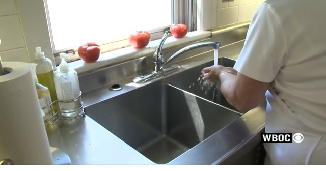 USDA: Most People Don't Wash Their Hands Properly Before Preparing Food ...