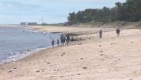 Water Quality Advisories for Slaughter and Broadkill Beaches | Delaware ...