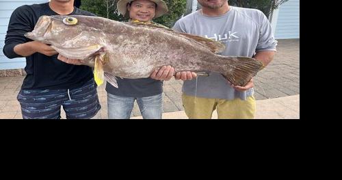yellowedge grouper