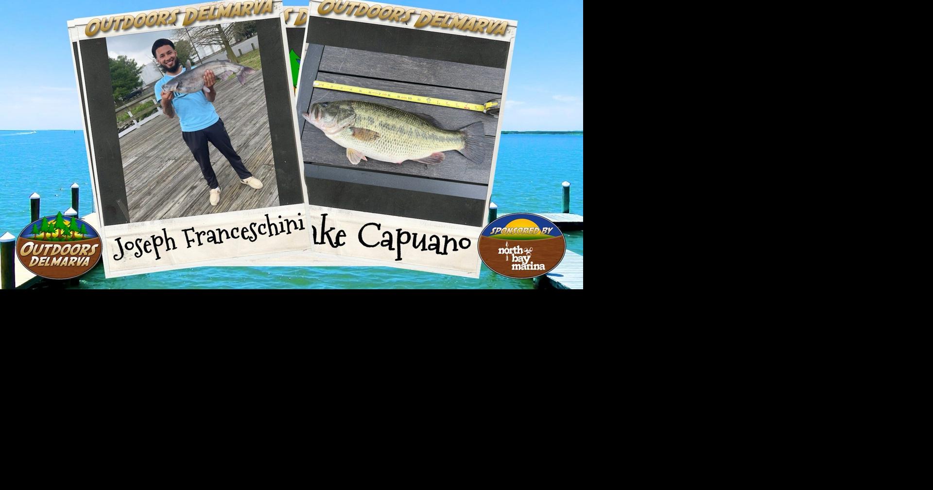 Viewer Pictures - June 15, 2024 | Outdoors Delmarva | wboc.com