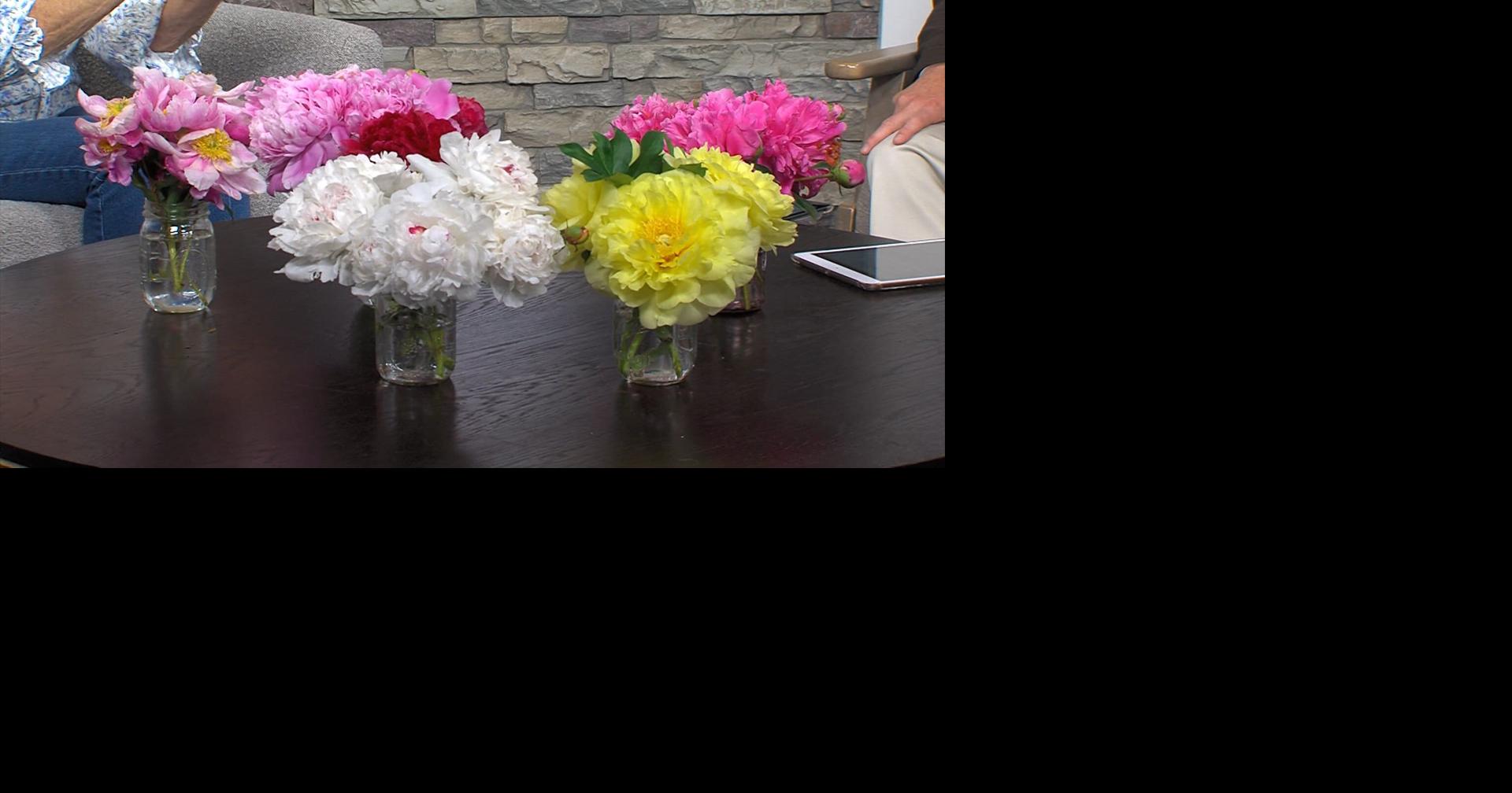 Ginny Rosenkranz Shares Tips on Taking Care of Fragrant Peonies ...