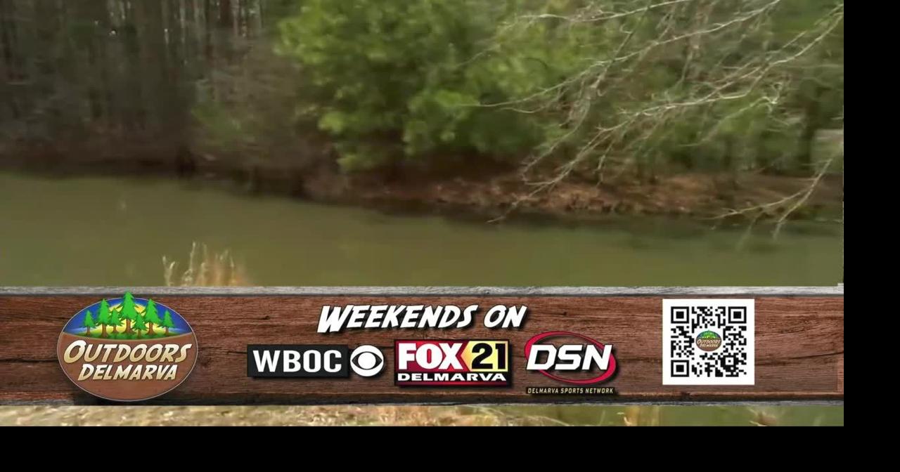 WBOC Sunday Morning News | Latest Newscasts | wboc.com