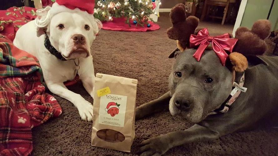 Waggies By Maggie Creates Irresistible Dog Treats for a Cause ...