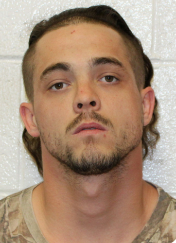 Parsonsburg Man Sentenced for Illegal Possession of Firearm, Reckless ...