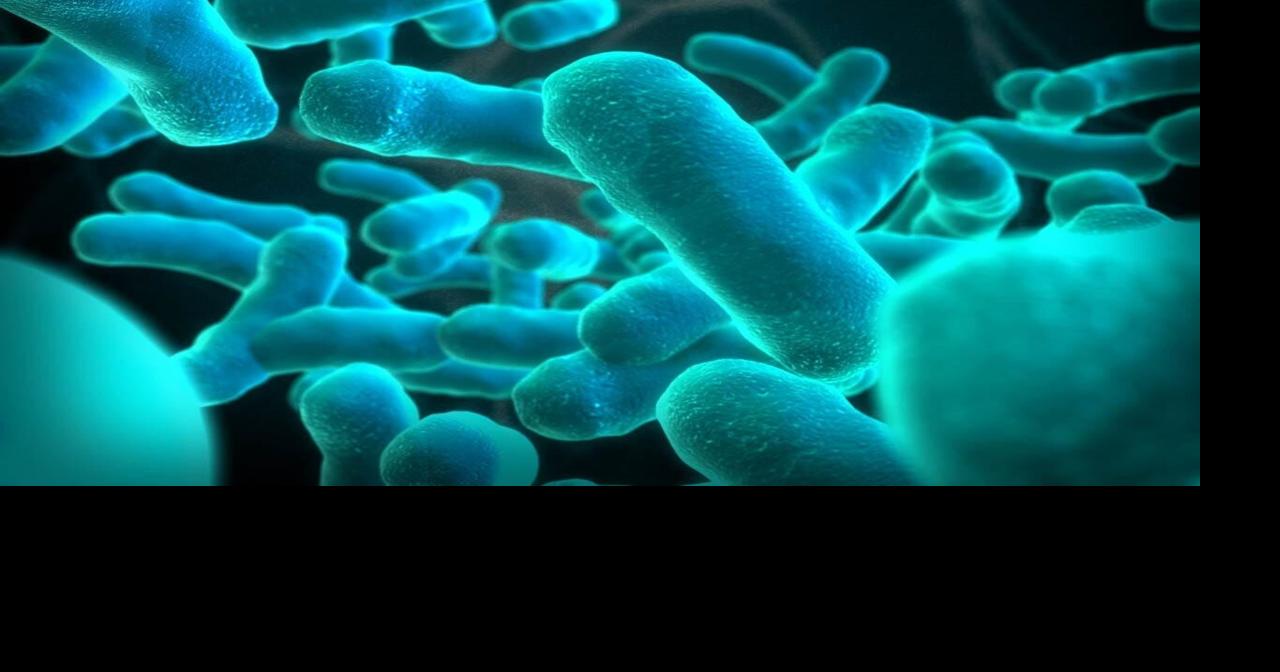 Elevated Bacteria Levels at Tyaskin Beach | Latest News | wboc.com