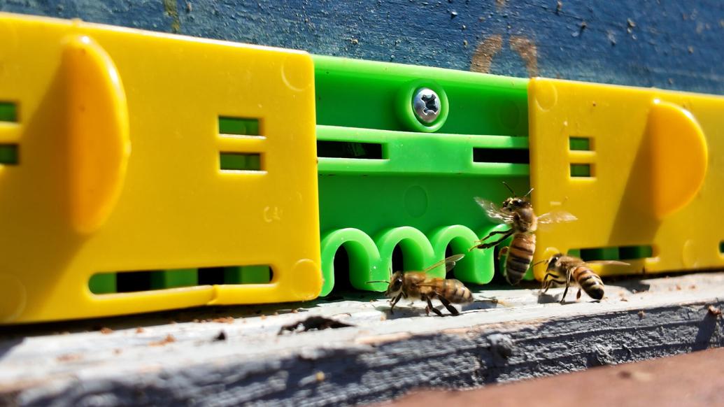 A hive heist is sending shockwaves through Delmarva's beekeeping ...