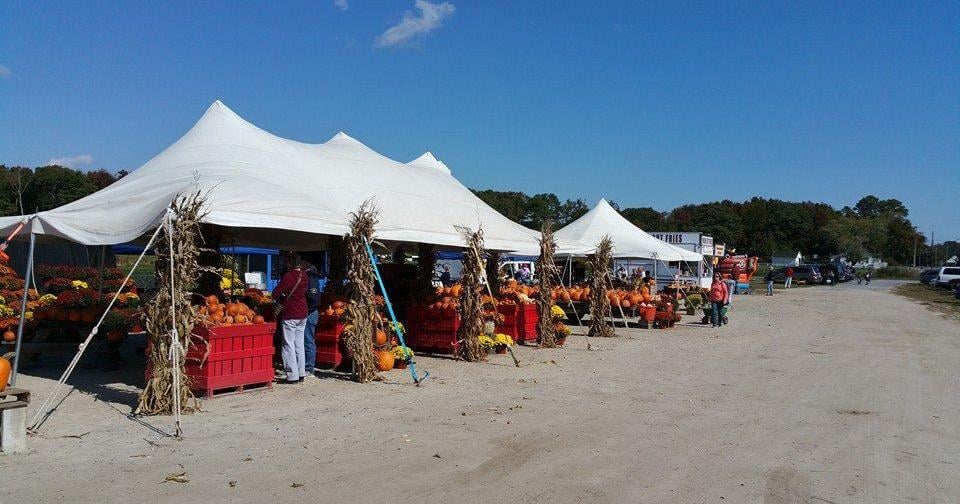 Magee Farms Celebrate 150 Years of Farming in Sussex County, Del ...