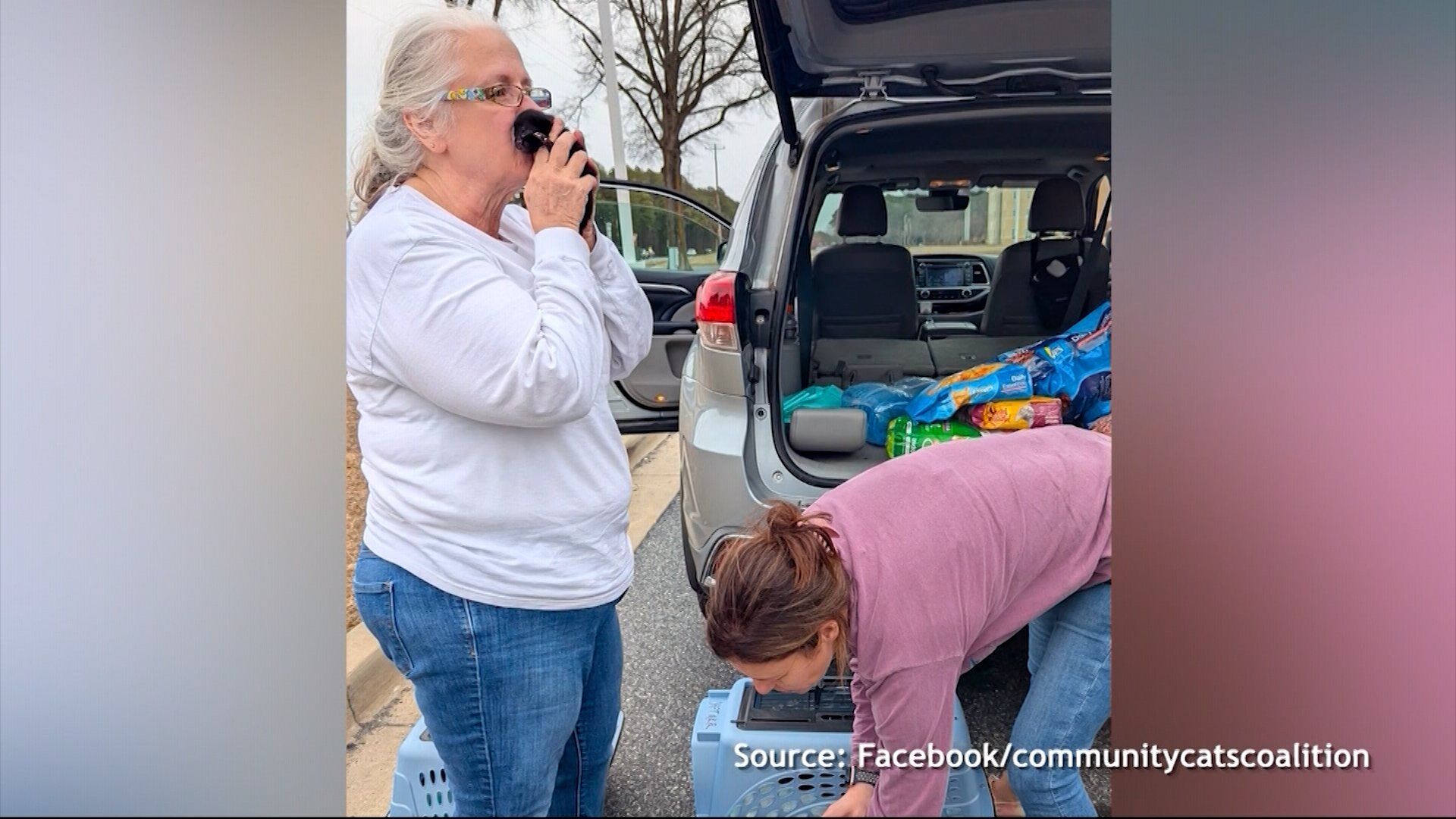 Delmarvalife | wboc.com