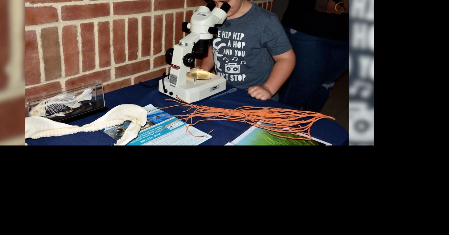 Fun and Educational Summer Activities for Kids at Home | Interview w/ 4 ...