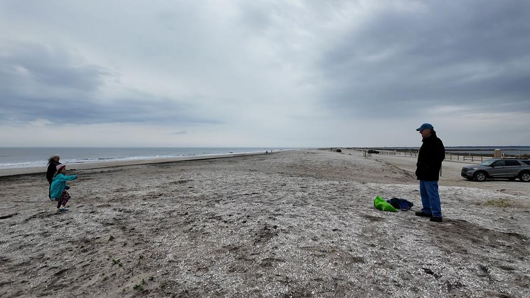 The Shifting Sands On An Accomack County Beach Make Way For A Big ...