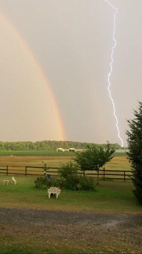 Significant Storms Bring Much-Needed Rain to Delmarva | Latest News ...