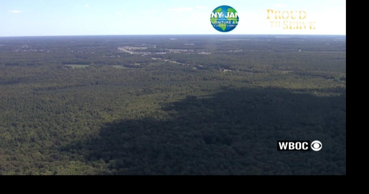 Proud to Serve: Redden State Forest | Latest News | wboc.com