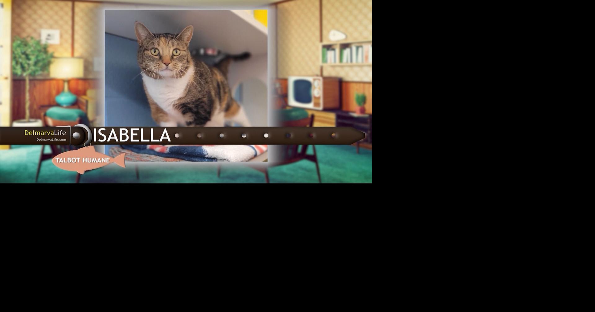 Pet Connect – January 13, 2023 | Delmarvalife | wboc.com