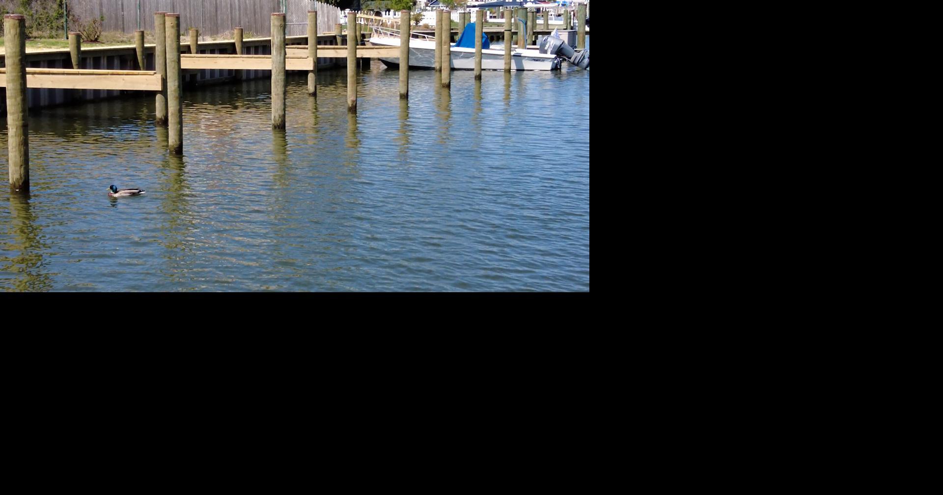 Technology To Prepare People for Nuisance Flooding | Latest News | wboc.com