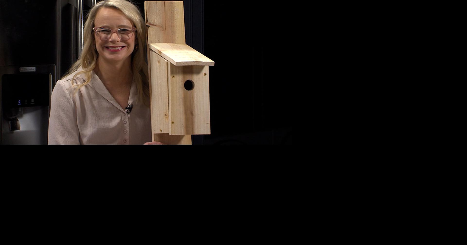 Stephen Goewey is Teaching Us the Importance of Pollinators and our ...