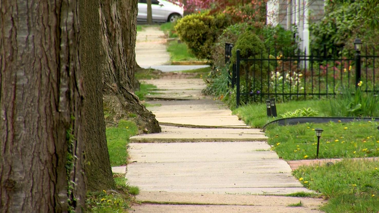 Dover Sidewalk Revamp Would Keep Trees Intact | Latest News | wboc.com
