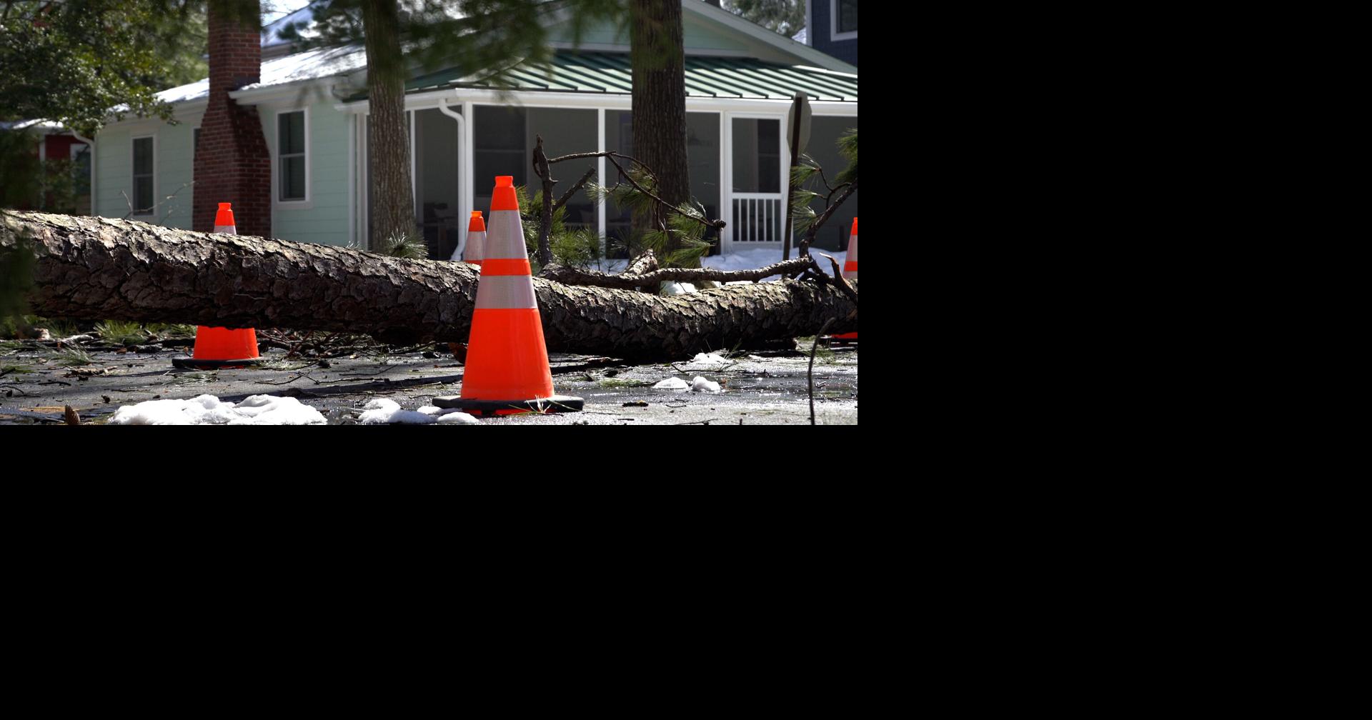 Fallen branches, weakened trees possible as storm hits the peninsula ...
