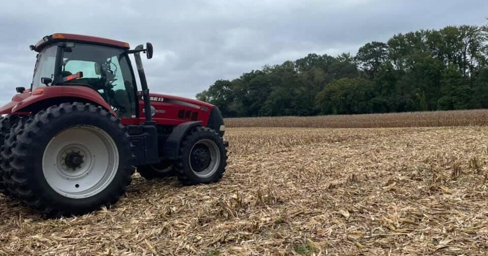 Corn Is A Luxury Crop This Harvesting Season | Delaware News | wboc.com