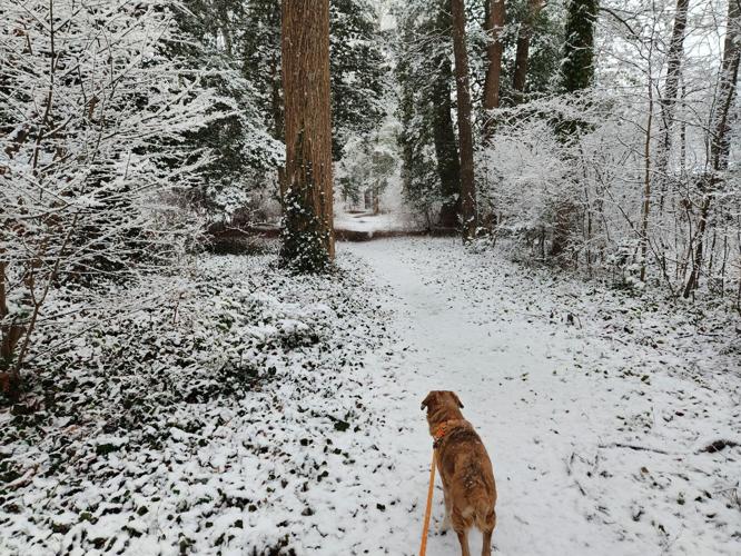 Delmarva Snow February 2025 | Latest News | wboc.com
