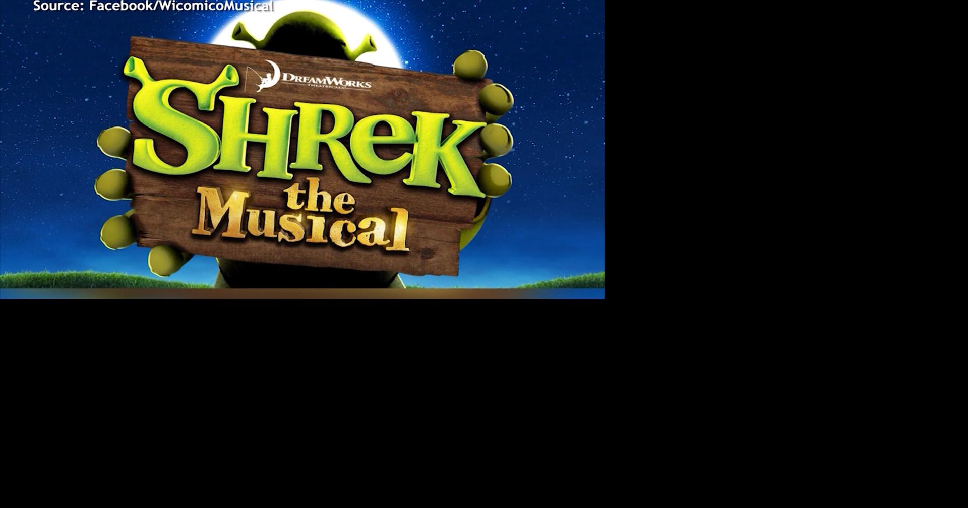 The Actors From The All Country Musical Group Preview Their Latest ...