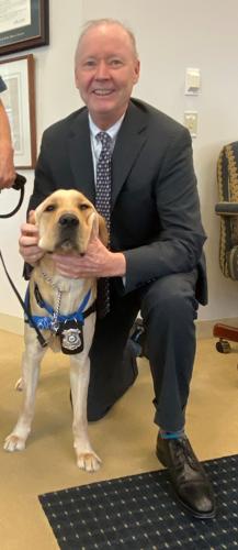 Delaware Judiciary Welcomes Comforting K-9 | Latest News | wboc.com
