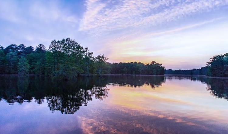 Delaware releases updated Climate Action Plan; Coastal leaders react ...