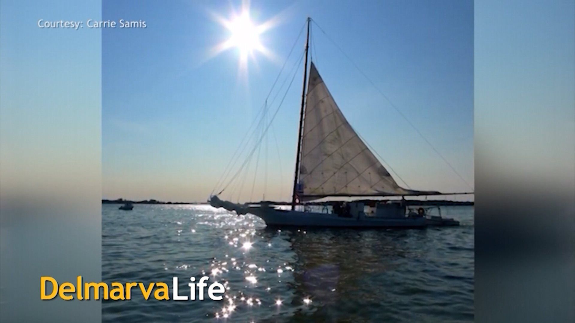 Delmarvalife | wboc.com