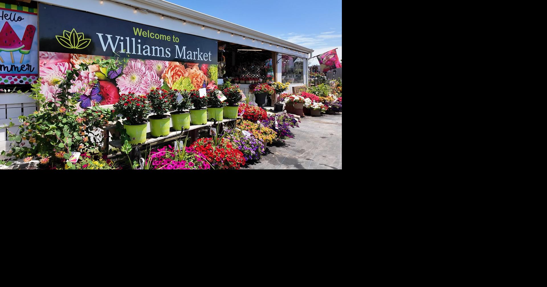 Flower Basket Bandits hit one Wicomico County Business Twice in One ...
