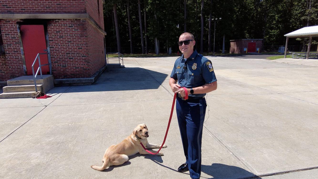 Delaware State Fire Marshals Welcome a New K-9 to the Team | Latest ...