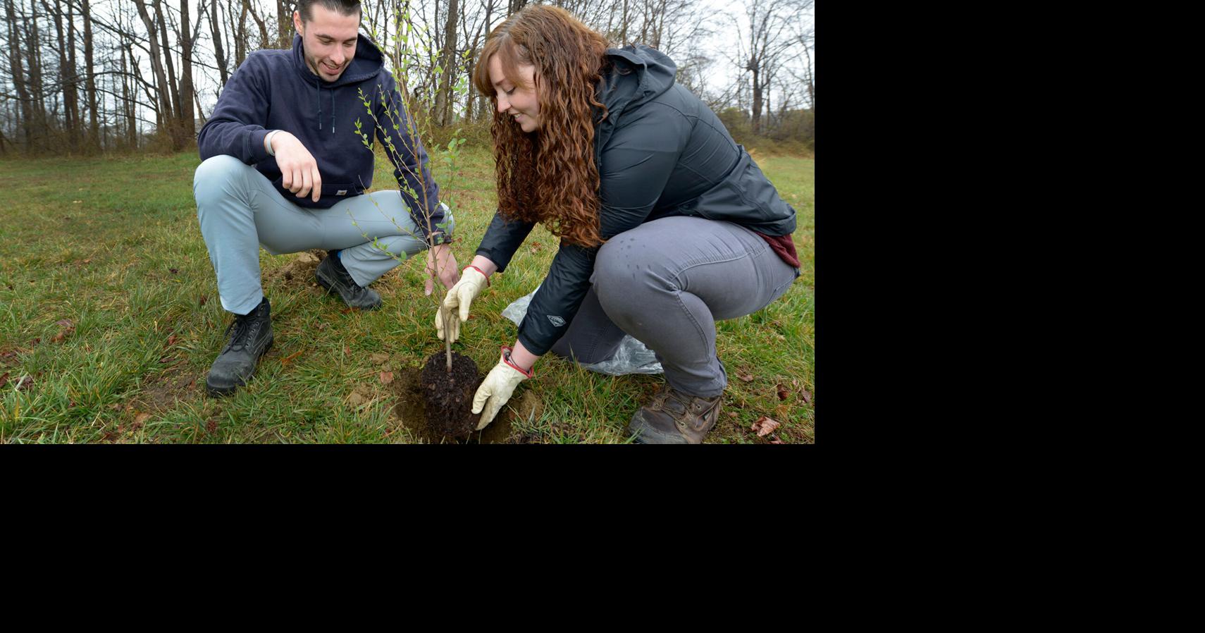 Delmarva Power Offering Free Trees to Enhance Energy Efficiency ...