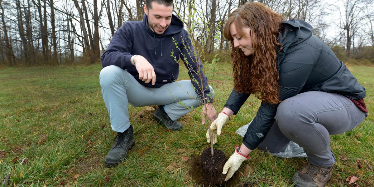 Delmarva Power Offering Free Trees to Enhance Energy Efficiency ...