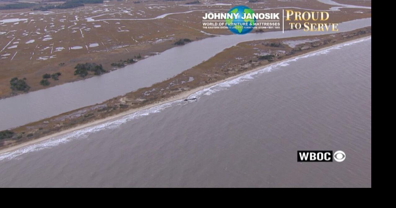 Proud to Serve: Beach Plum Island | Latest News | wboc.com