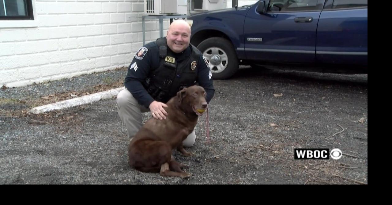 Inspirational Bond: Federalsburg K-9 Overcomes Cancer to Continue ...