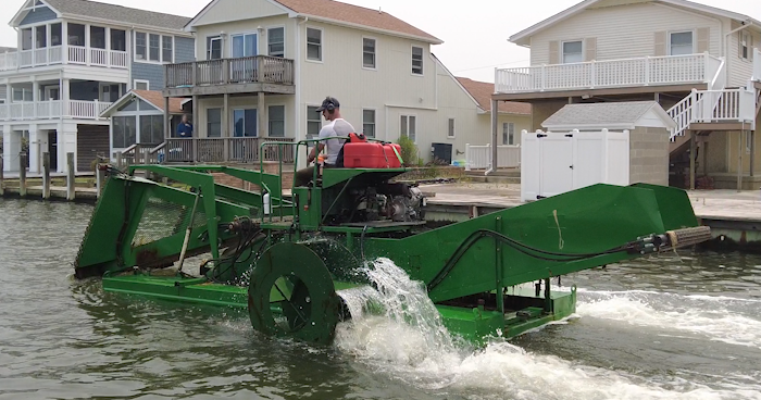 Canal Algae Cleaning Begins in Fenwick Island | Latest News | wboc.com