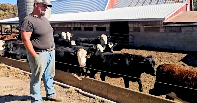 Honoring Delmarva Farmers: Nelson Warren | Latest News | wboc.com