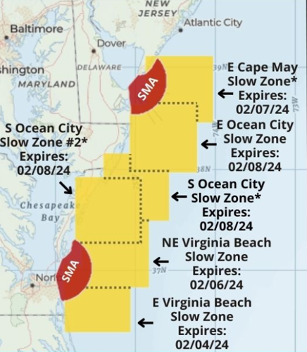 UPDATE: Right Whale Slow Zone Extended Again | Latest News | wboc.com