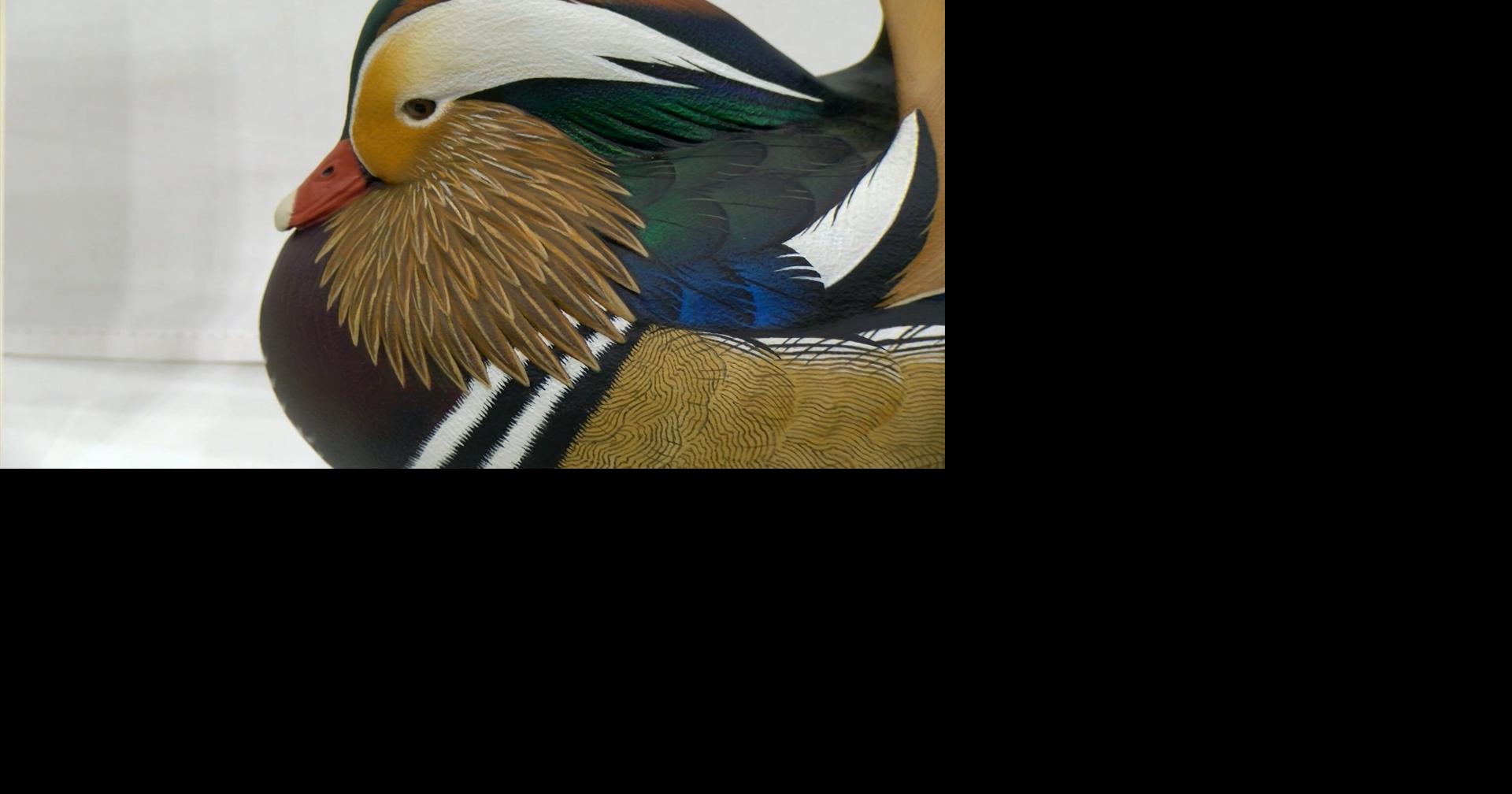 We Get A Preview Of The Ward World Championship Wildfowl Carving ...
