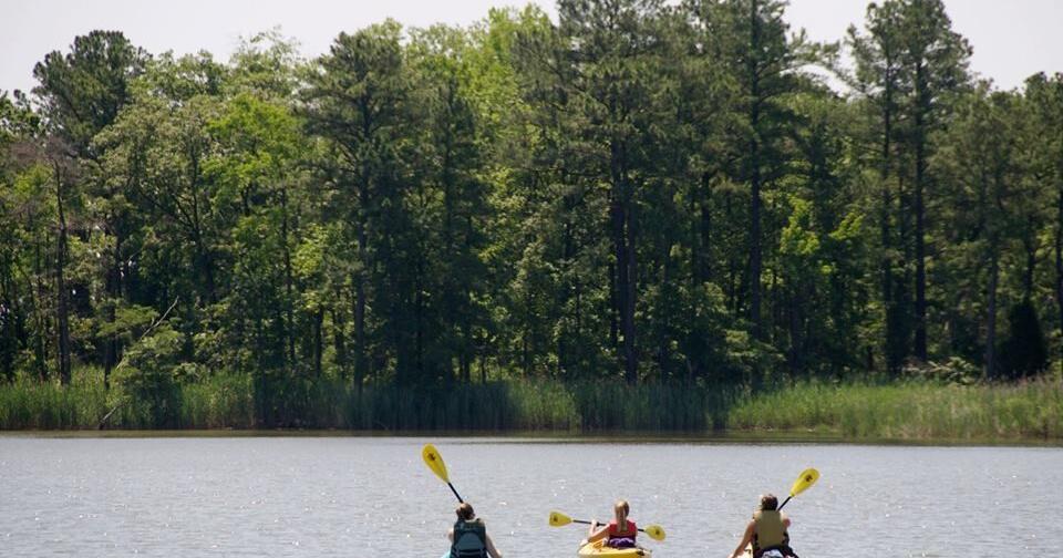 Volunteers Needed for April 15 Cleanup at Concord Pond in Seaford ...
