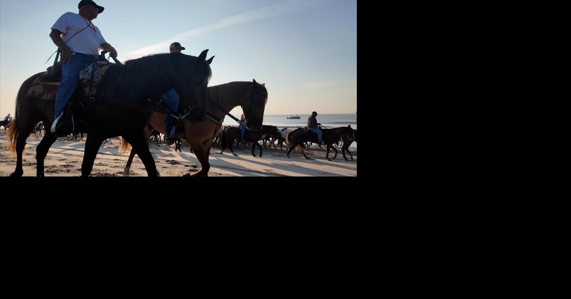 We're Capturing the Magic of the 100th Chincoteague Pony Penning in a ...