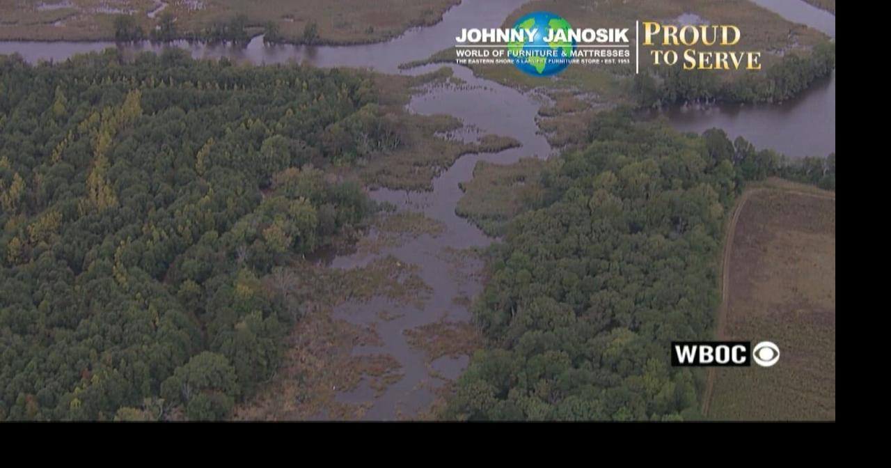 Proud to Serve: Edward McCabe Nature Preserve | Latest News | wboc.com