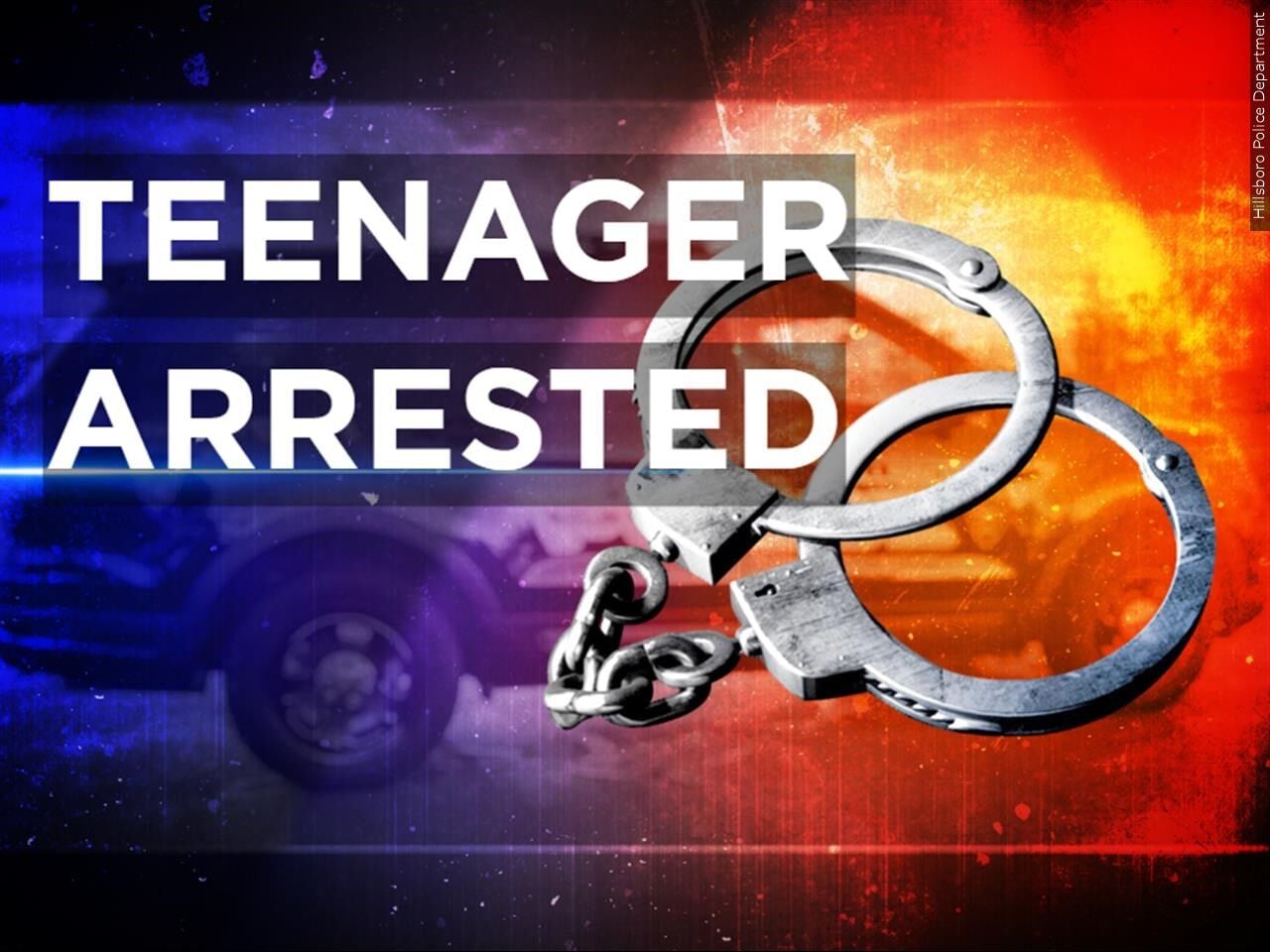 Maryland teen arrested by Delaware State Police after pursuit in a ...