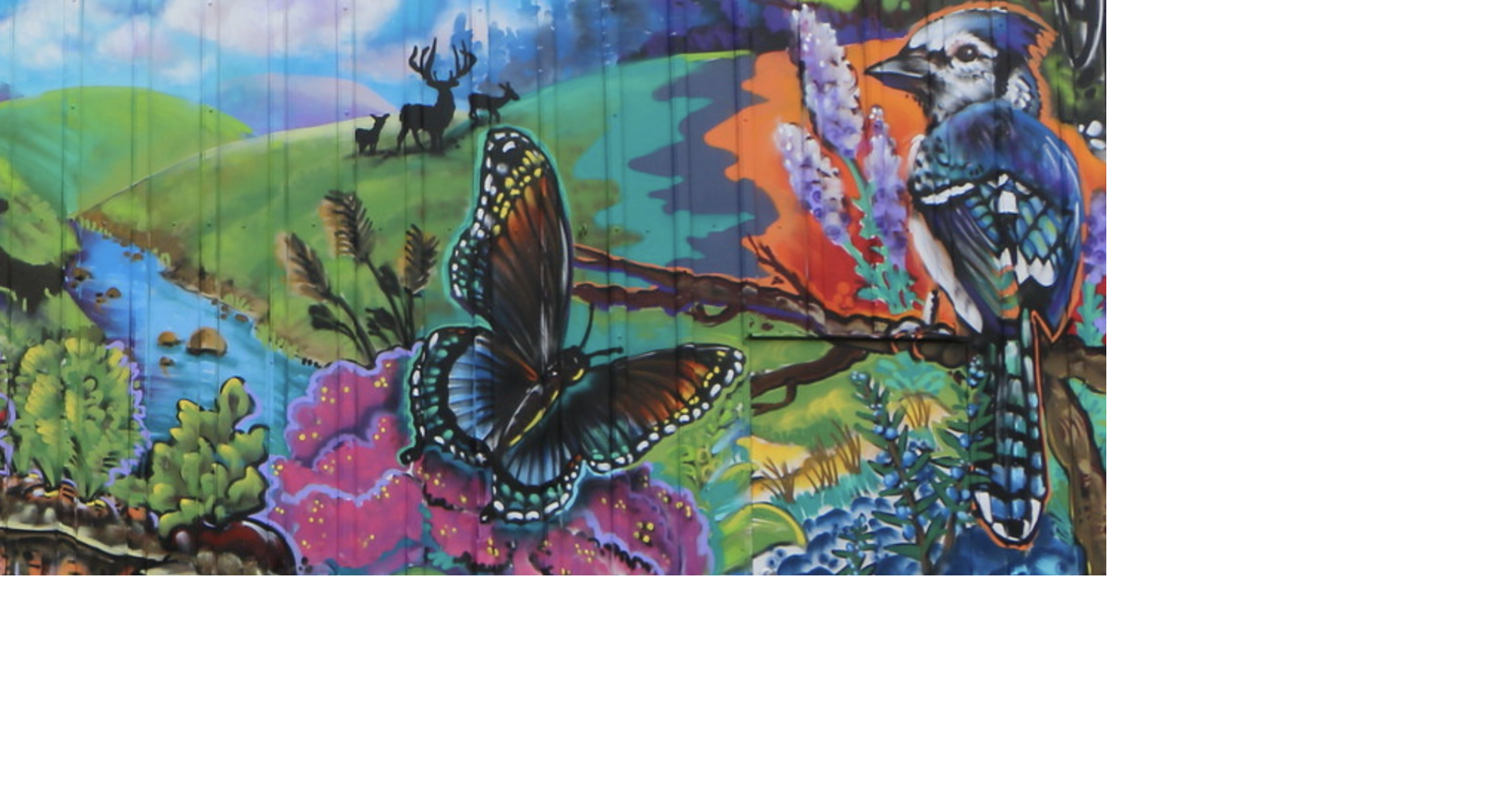 College, businesses & school district sponsor community art walk | Our ...