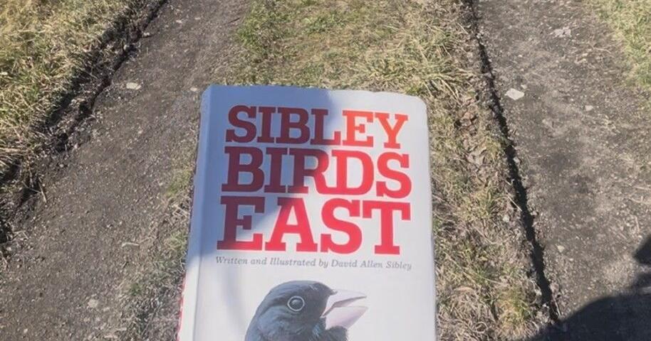 Exploring the Skies and Pages: Birding Across Multi-Habitat ...