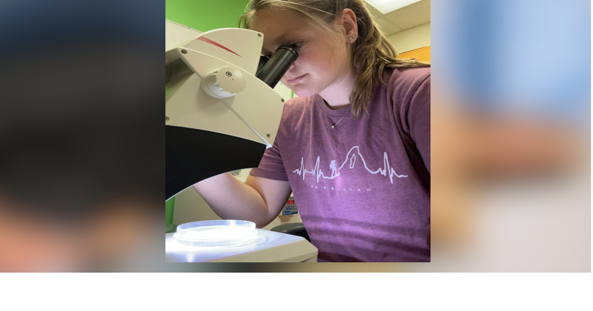 SUMMER RESEARCH FELLOW: Emily Huff '24 | Our Campus | wcn247.com