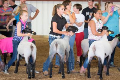 Lawrence County Fair 2024 | Holcad And Campus | wcn247.com