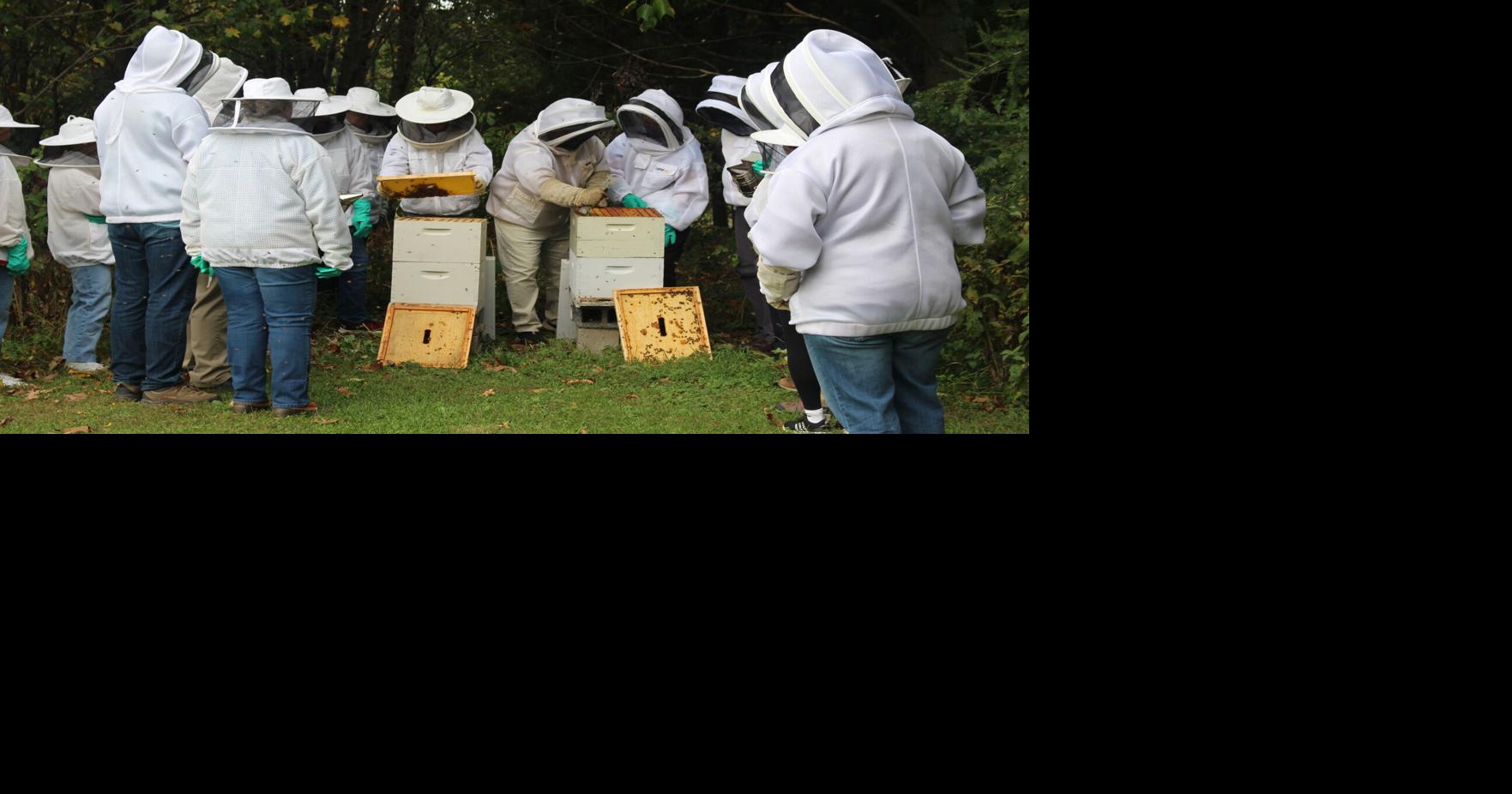 Westminster's Award-Winning Apiary | Sustainability | wcn247.com