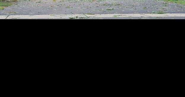 Minooka Village Board Approves Contract For Tree Removal Services ...